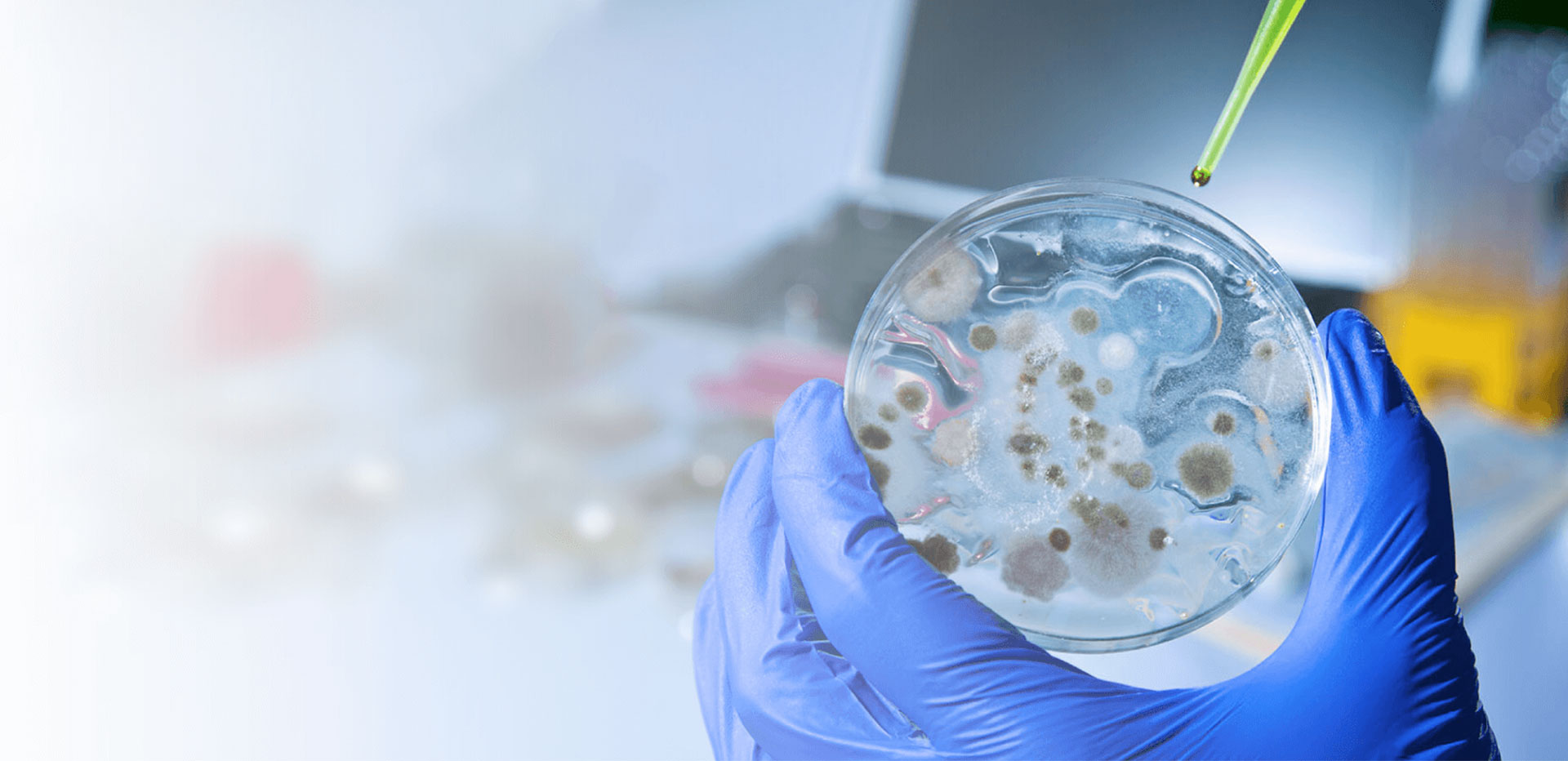 Duct Cleaning - BioSweepSE