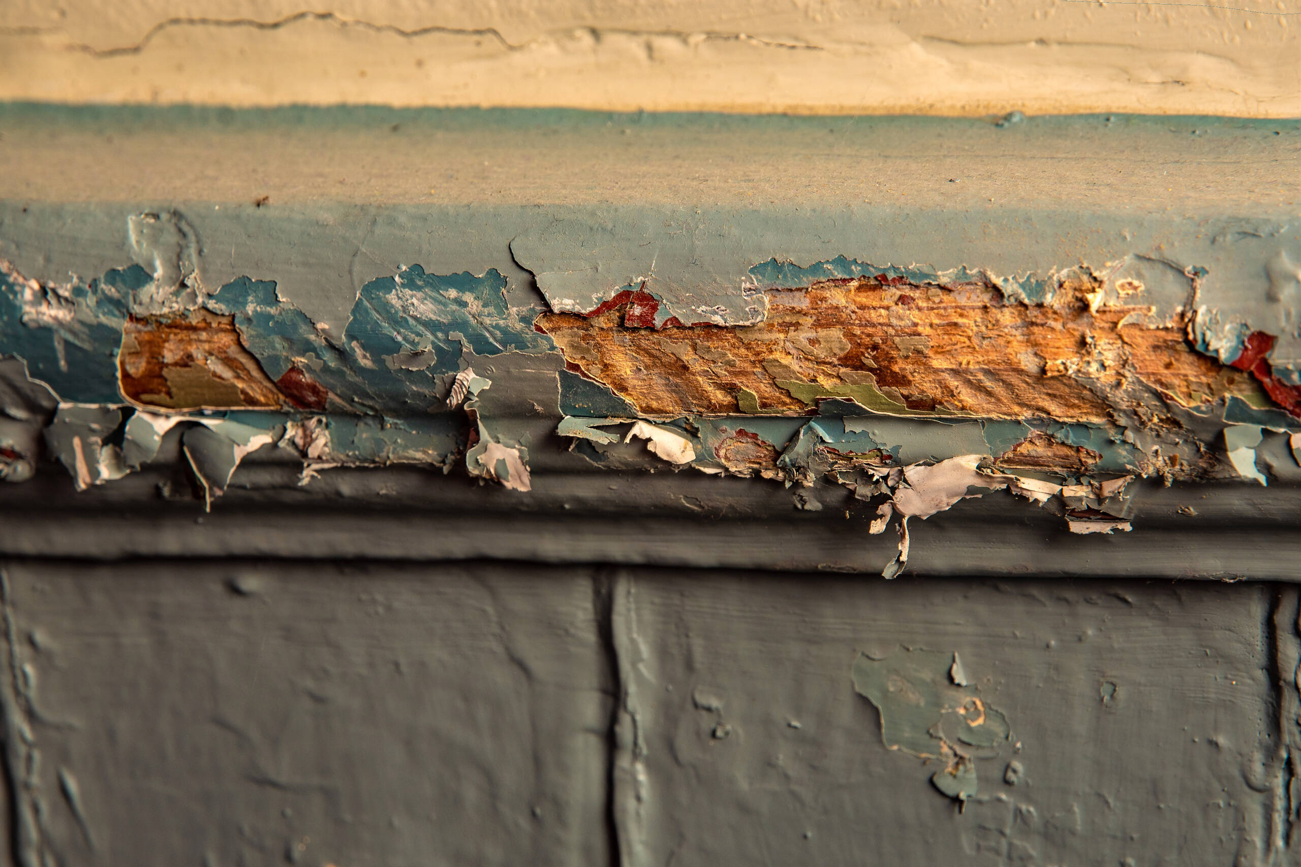 Lead Abatement - BioSweepSE