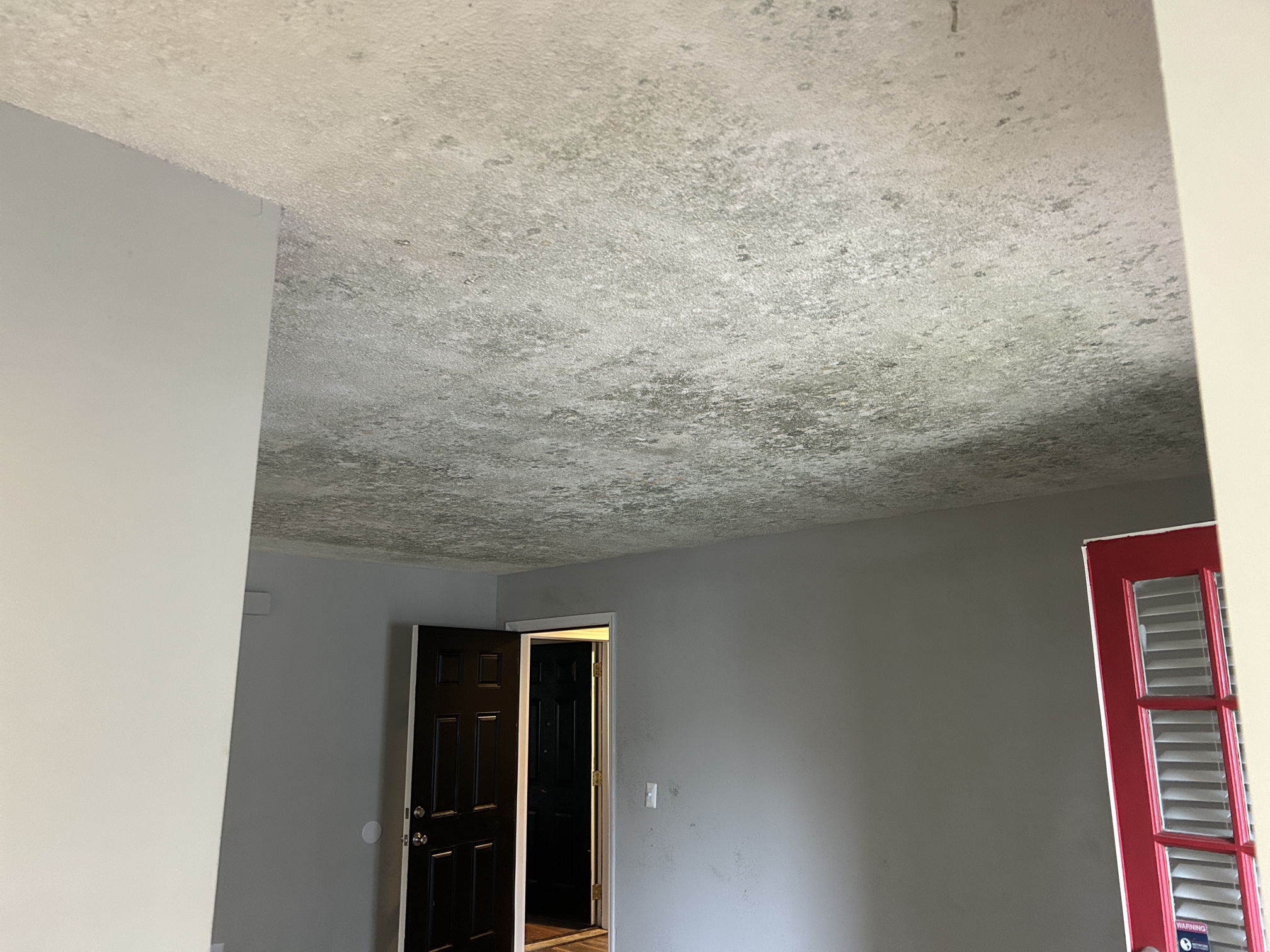 Mold Remediation Explained: Processes and Best Practices - BioSweepSE