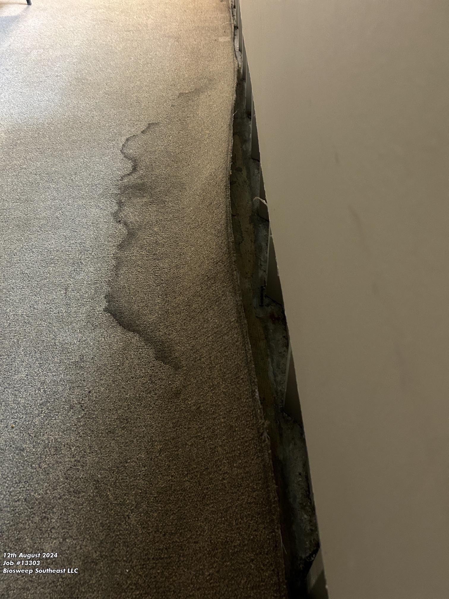 Signs of Water Damage Under Floor: How to Detect, Fix, and Prevent It
